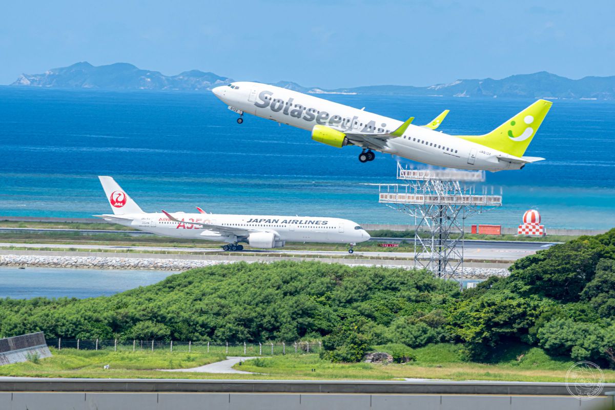 Vacation それぞれの休暇 | GANREF