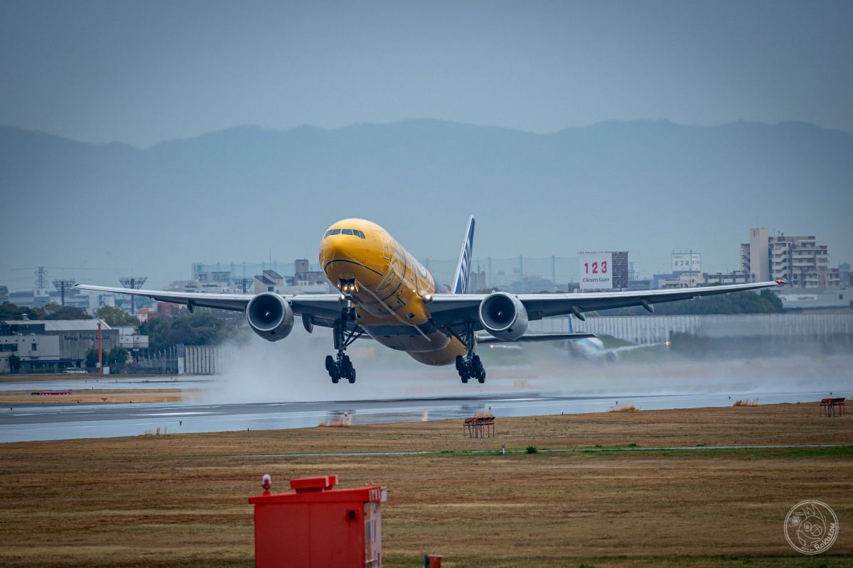 おひさ🎶 JA743A C-3PO ANA JET | GANREF