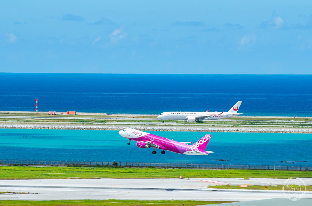 Vacation 夏の思い出 | GANREF