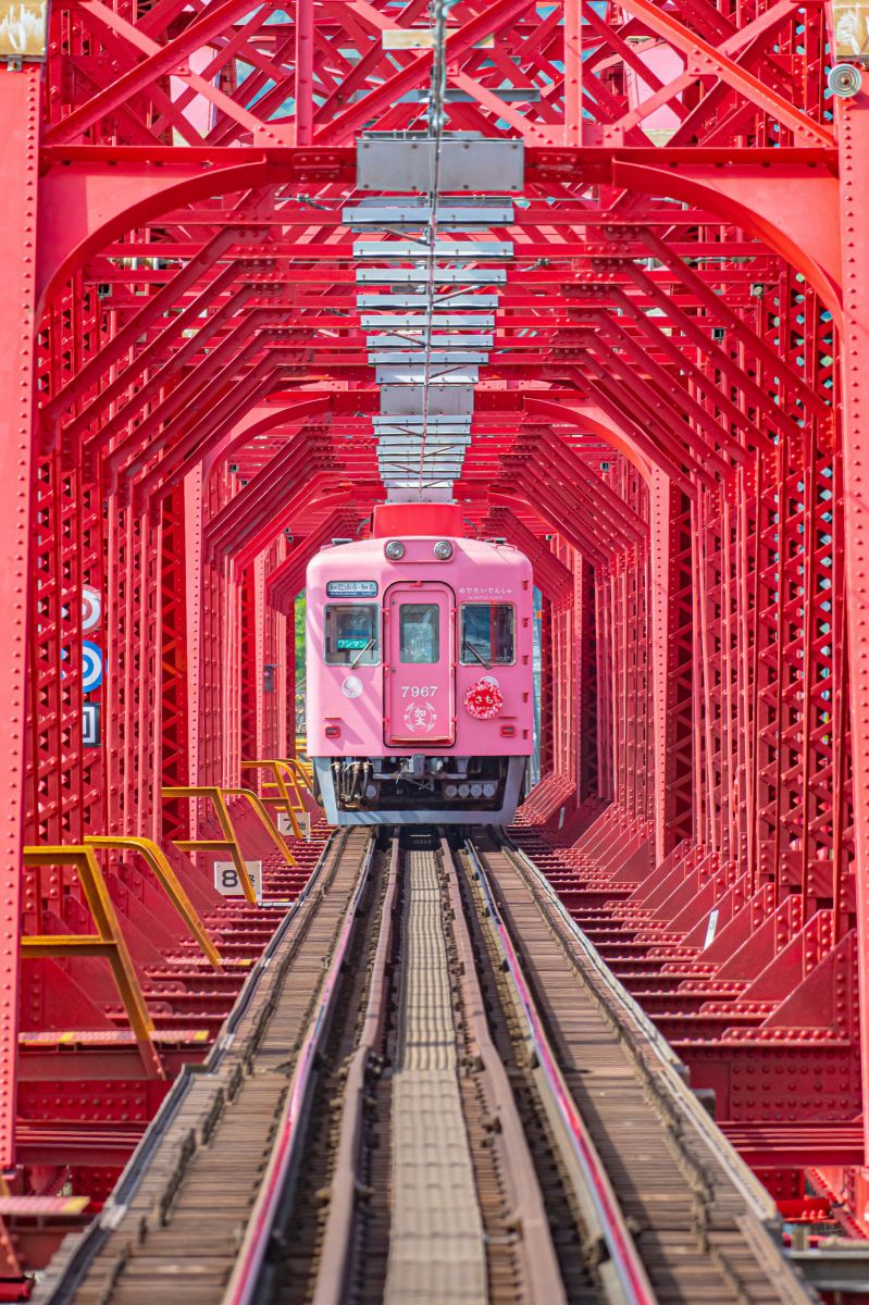 Red ＆ Pink | GANREF