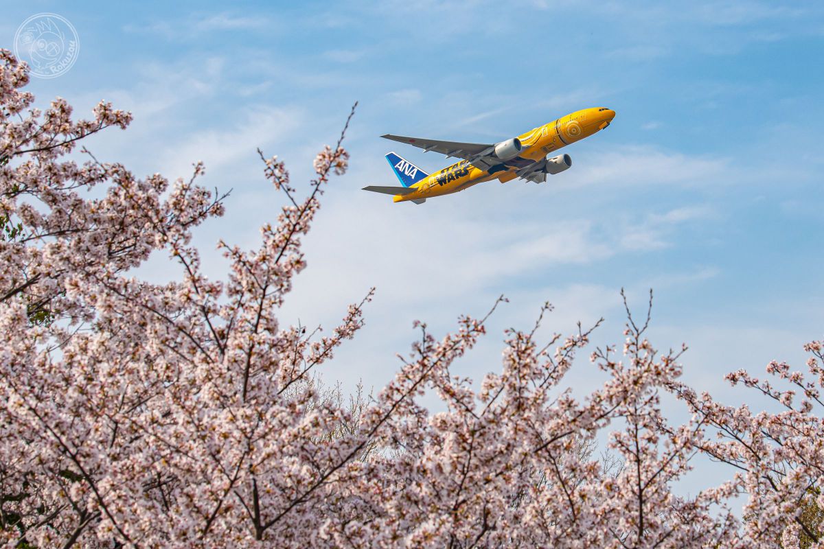 Sakura🌸 JA743A C-3PO ANA JET | GANREF
