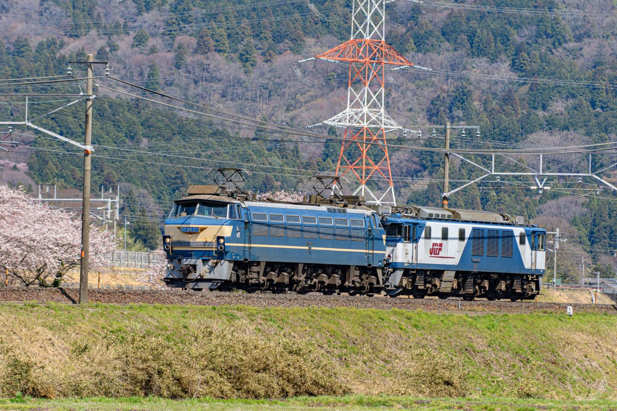 Double-heading EF66-27♡EF64-1002 | GANREF