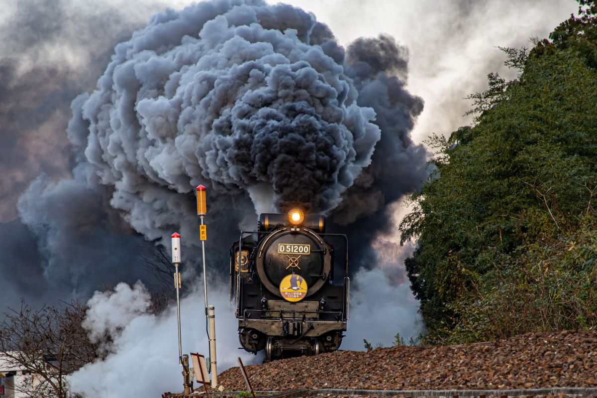 爆煙 Explosion of smoke | GANREF