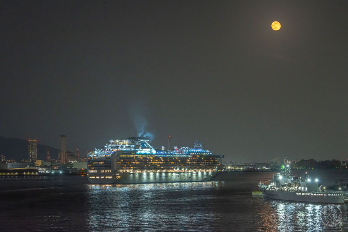 月夜に乾杯🥂Diamond Princess🇬🇧 | GANREF