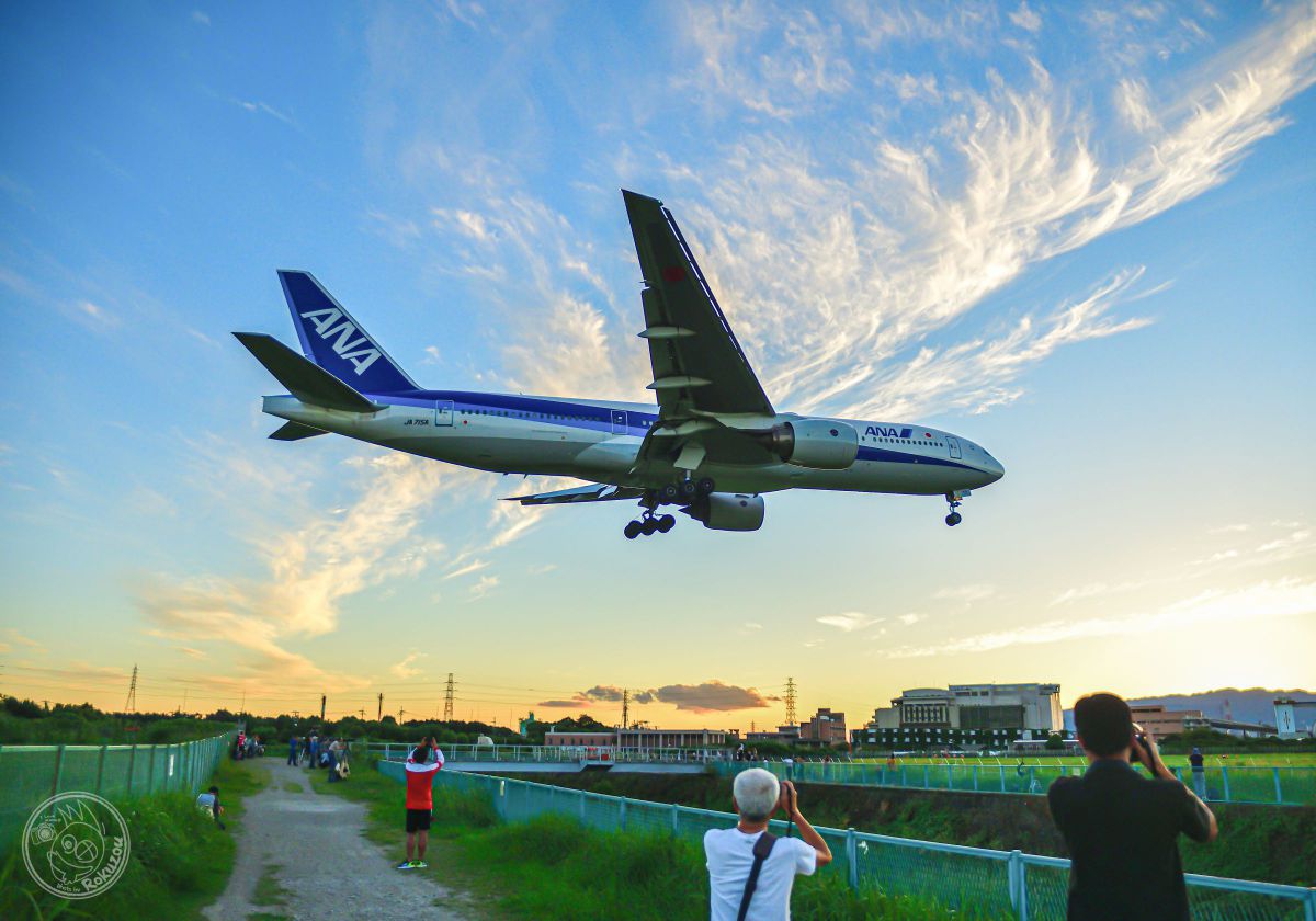 Dual wings 二重翼 | GANREF