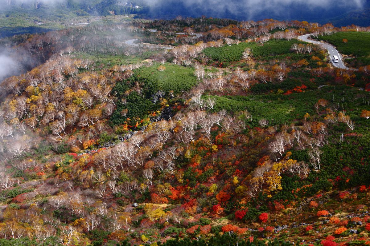 【注目製品レビュー～エプソン EP-10VA編～】第6回 展示作品編 ～没作品バージョン～ | GANREF