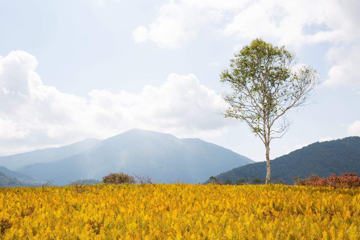 【注目製品レビュー～エプソン EP-10VA編～】第9回 インク編 ～負の連鎖からの解放～ | GANREF