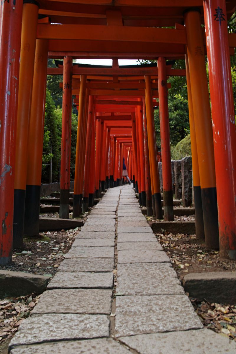 20241109,ya-ne-sen | GANREF