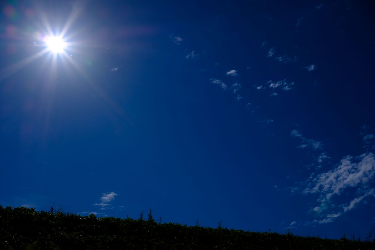 2024年9月 | GANREF