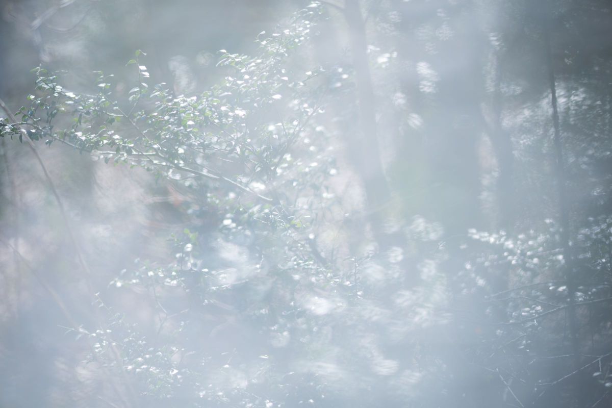 2016年3月 | GANREF