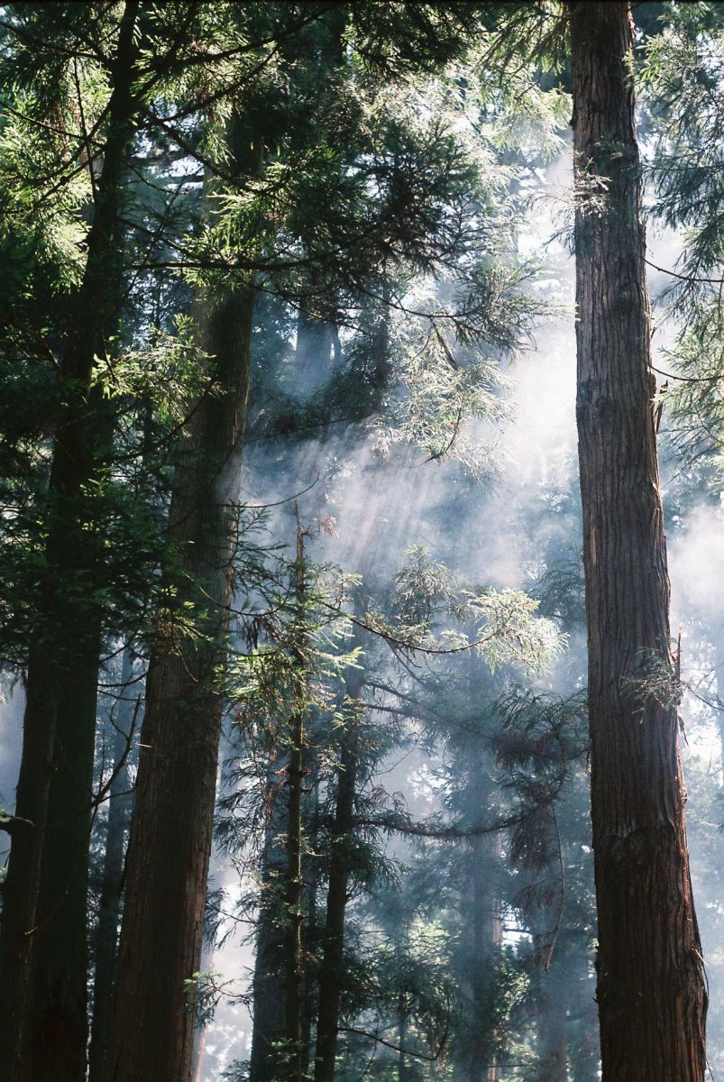 2020年6月 | GANREF