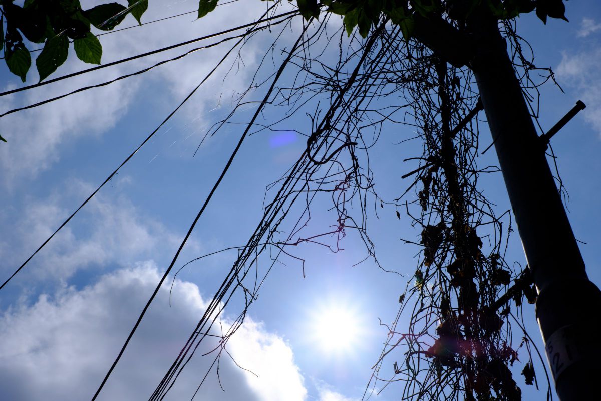 2024年9月 | GANREF