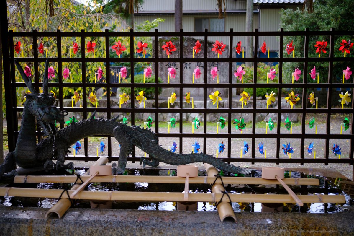 2024年11月 | GANREF