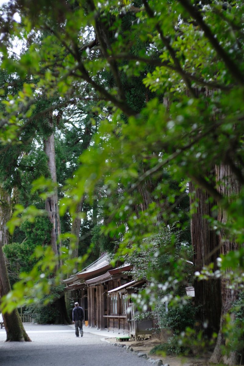 2024年3月 | GANREF