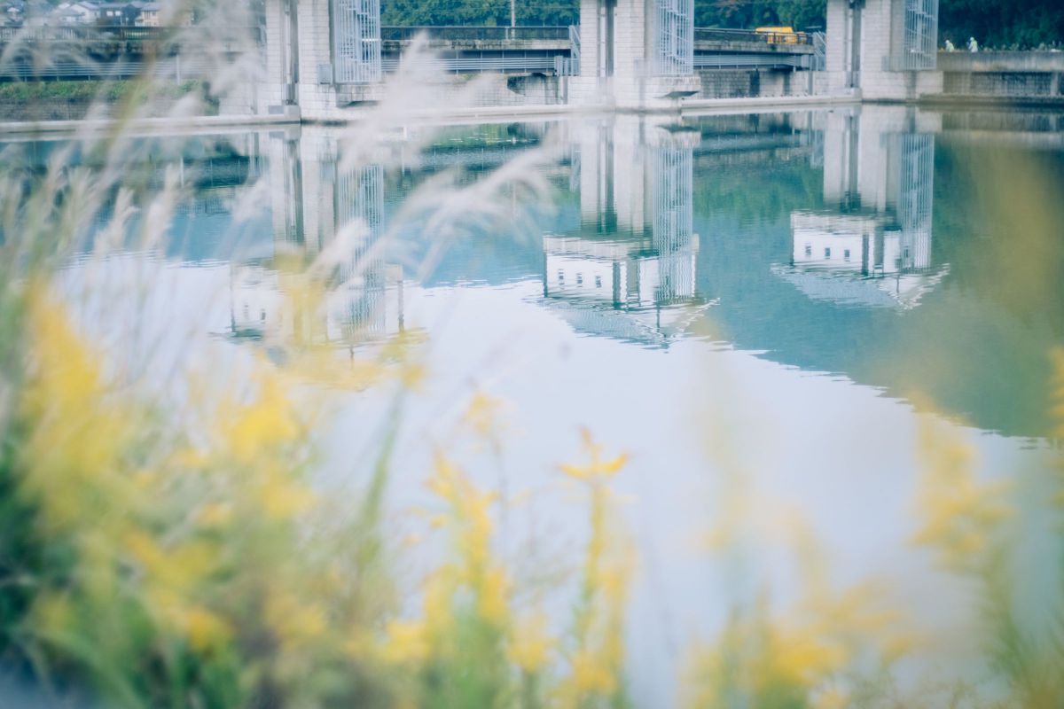 2023年10月 | GANREF