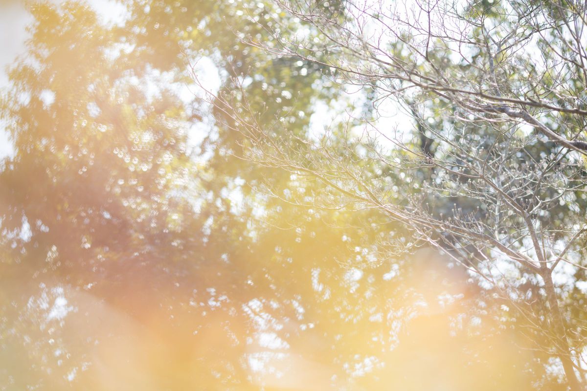 2016年3月 | GANREF