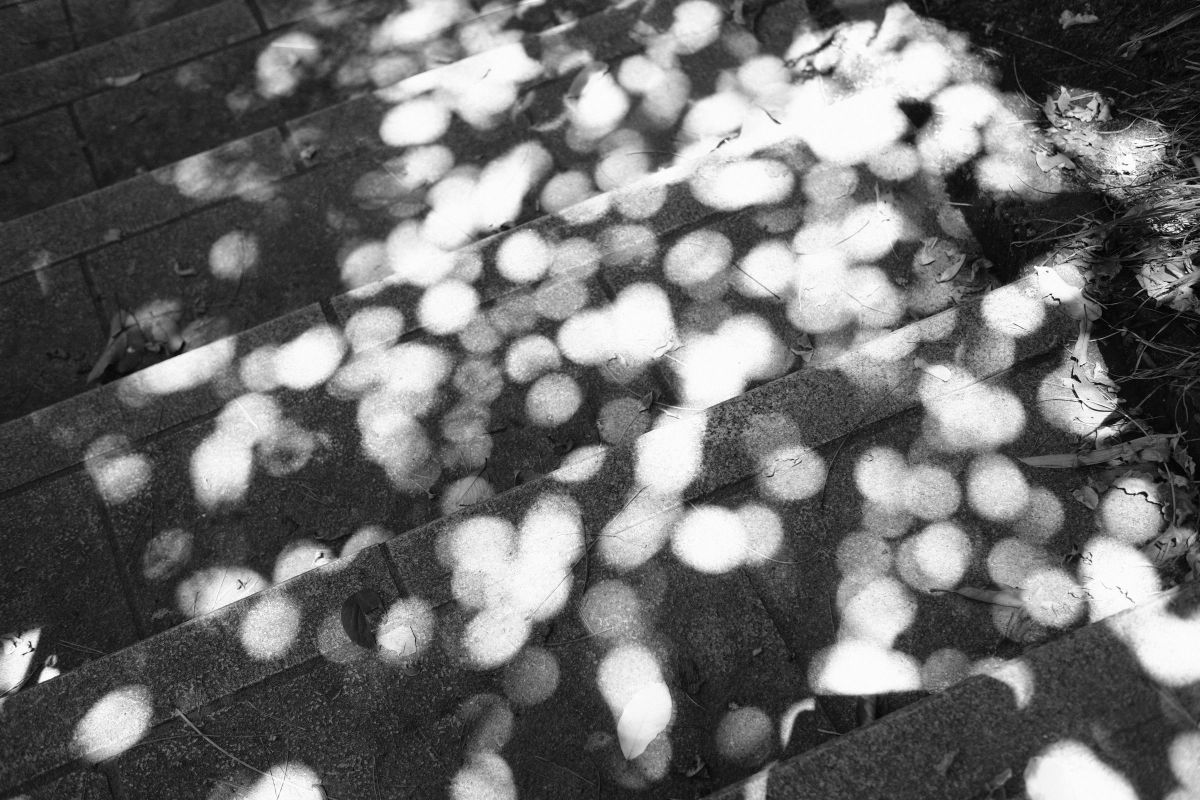 2018年8月 | GANREF