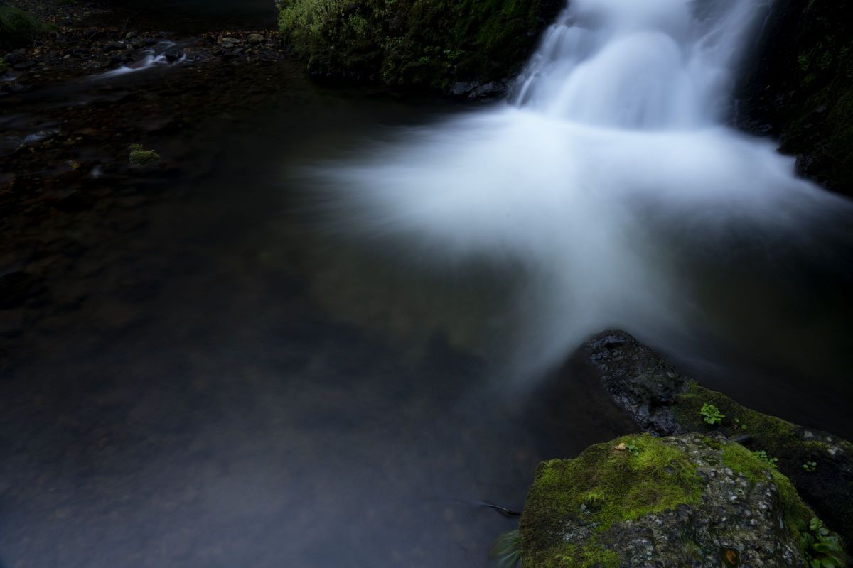 HUSKY 4段 MAX | GANREF