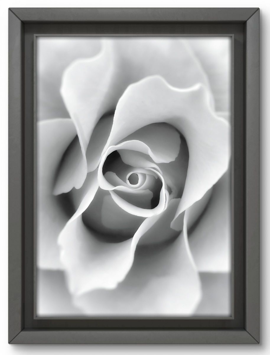 ART PHOTO 34 | GANREF