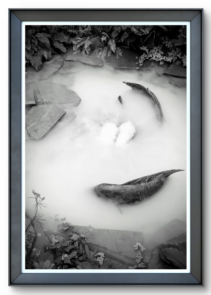 ART PHOTO 23 | GANREF