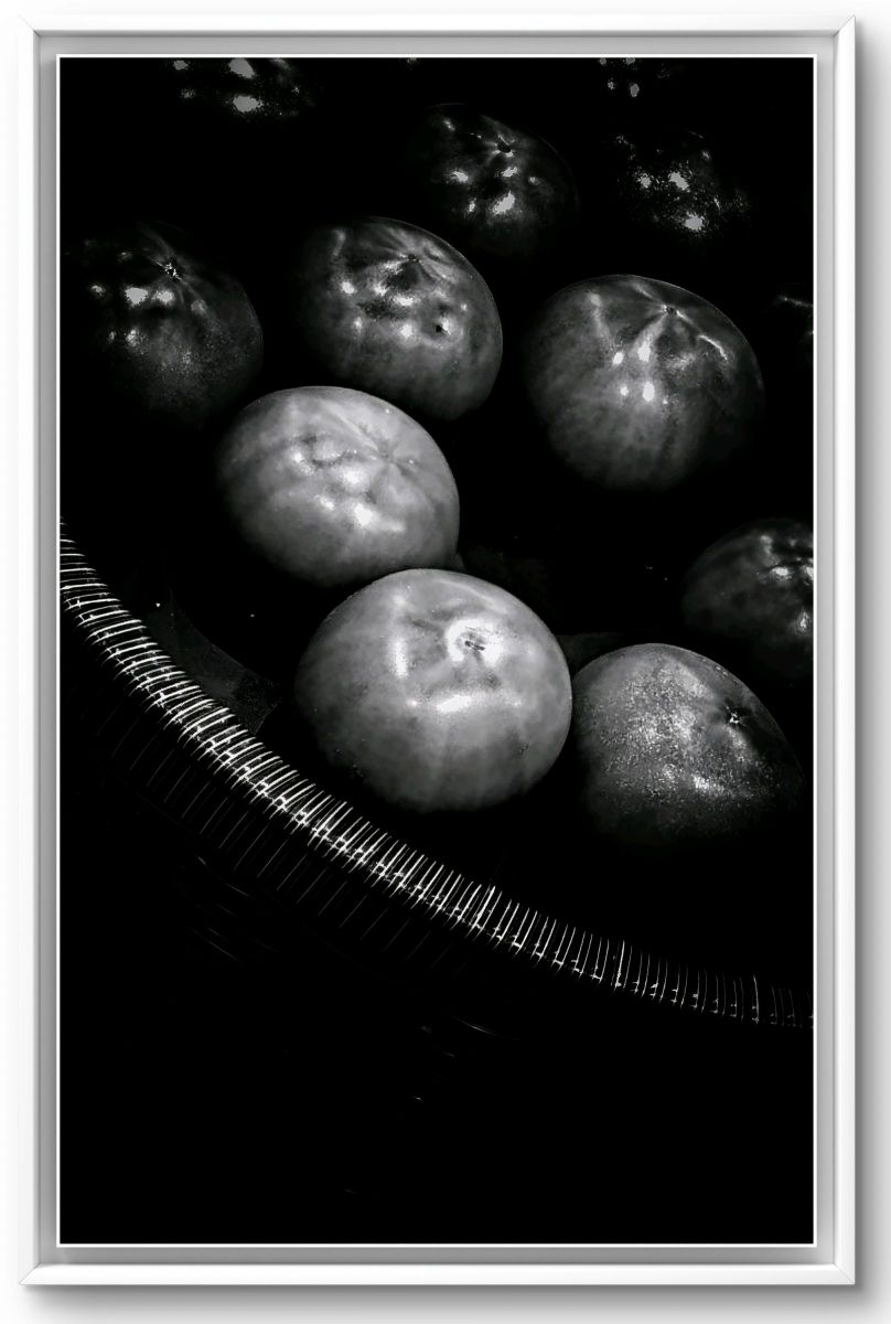 ART PHOTO 17 | GANREF