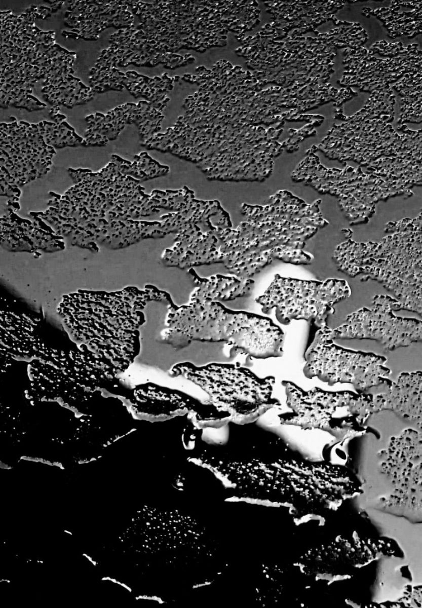 work photo maiku 50 | GANREF