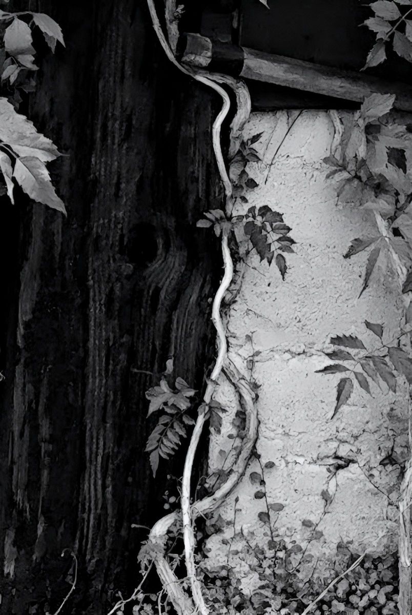 work photo maiku 75 | GANREF