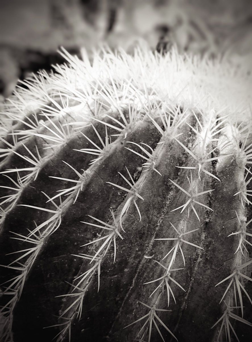 work photo maiku 44 | GANREF