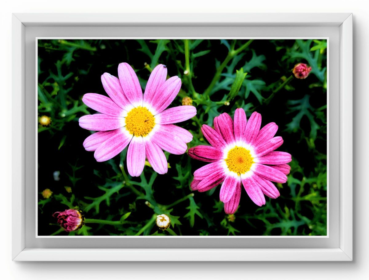 ART PHOTO 18 | GANREF