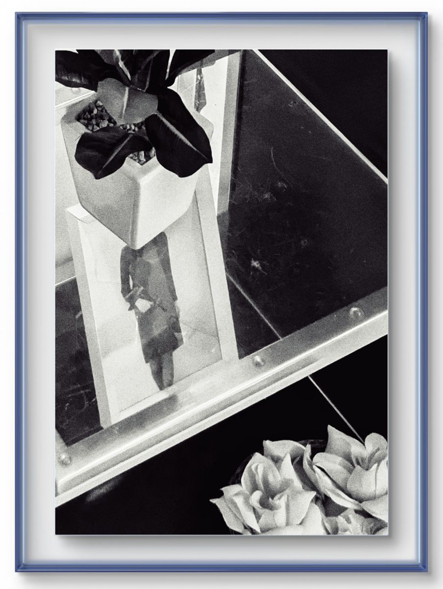 ART PHOTO 31 | GANREF