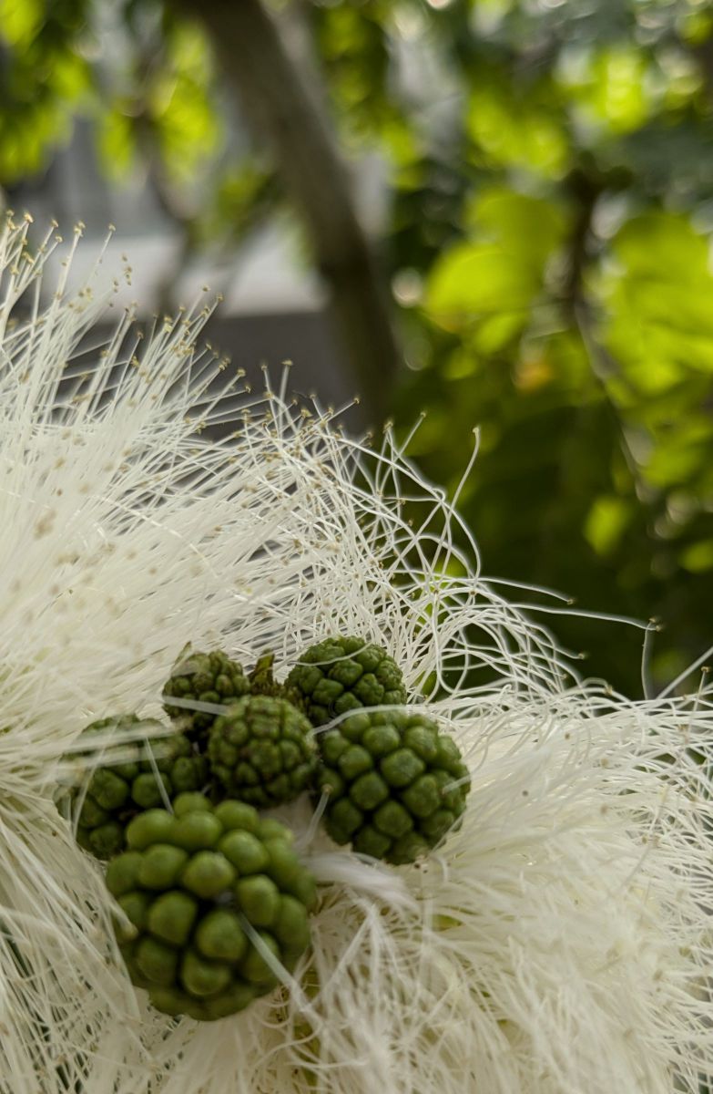 work photo maiku 36 | GANREF