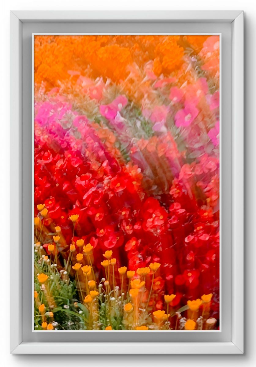 ART PHOTO 15 | GANREF