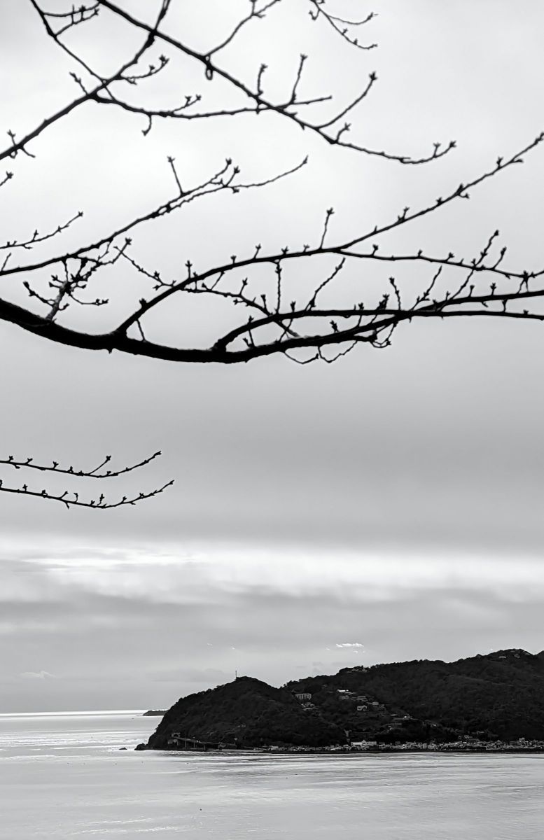 work photo maiku 47 | GANREF