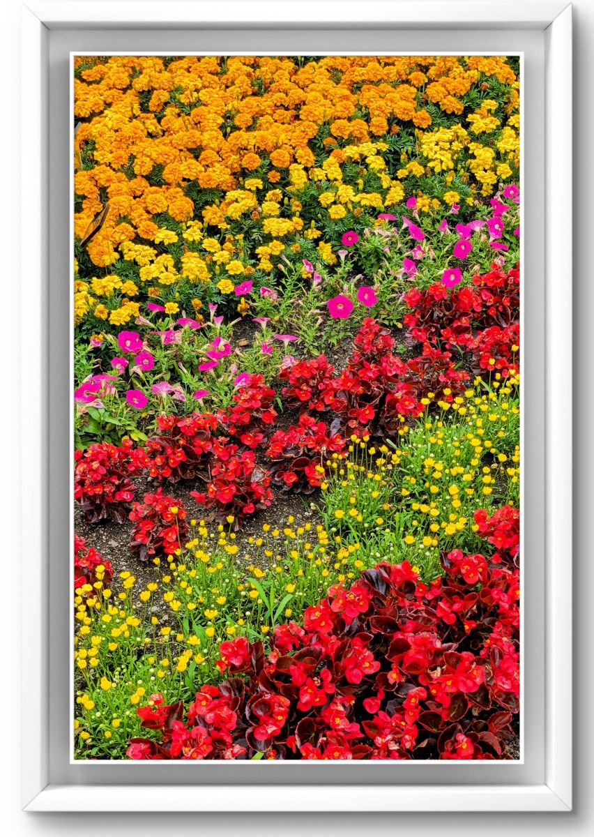 ART PHOTO 22 | GANREF