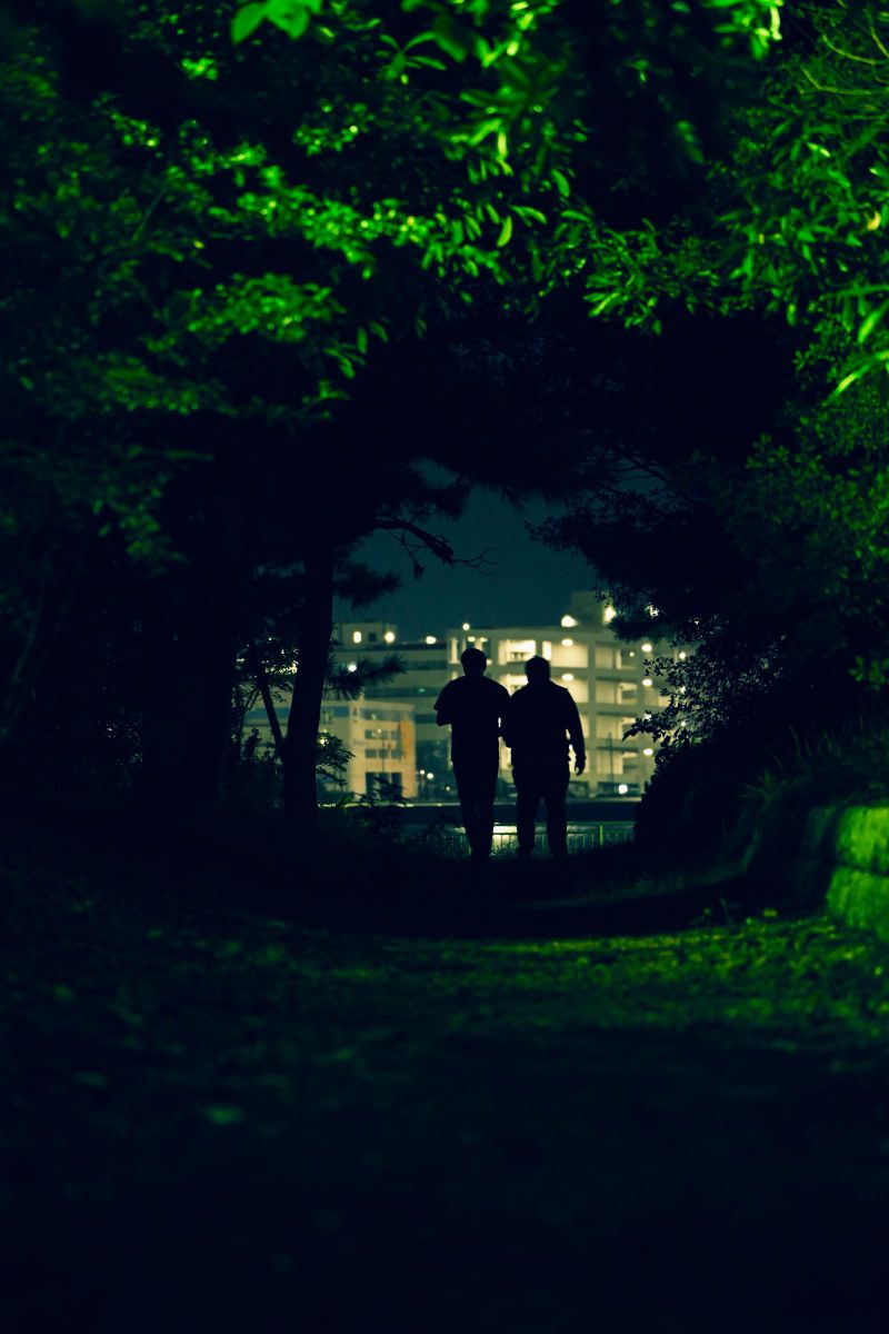 Into the woods | GANREF