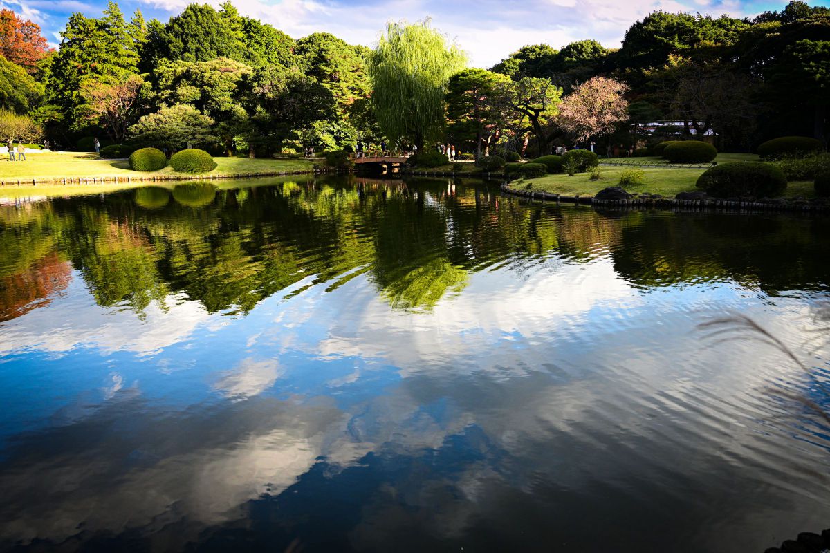 a good sunny day | GANREF