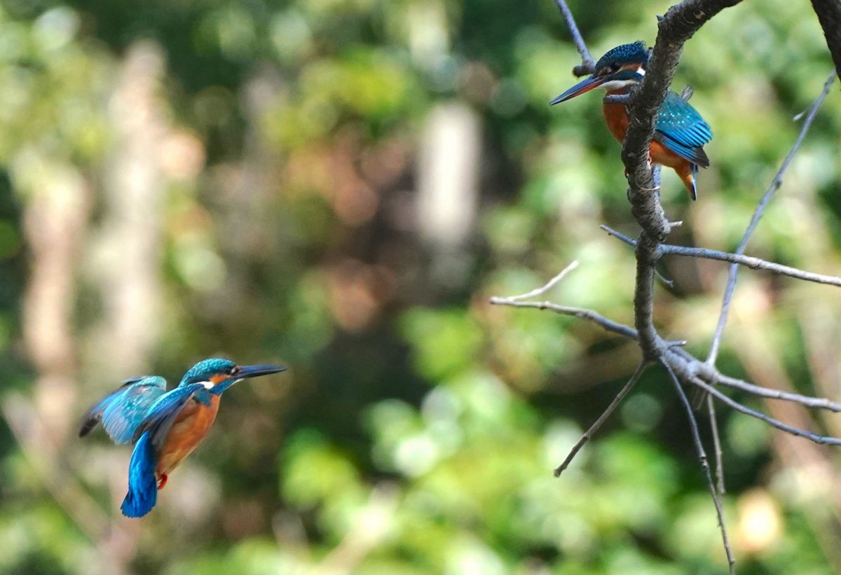 ♂「ただいま！」♀「あれ？獲物はないの？」 | GANREF