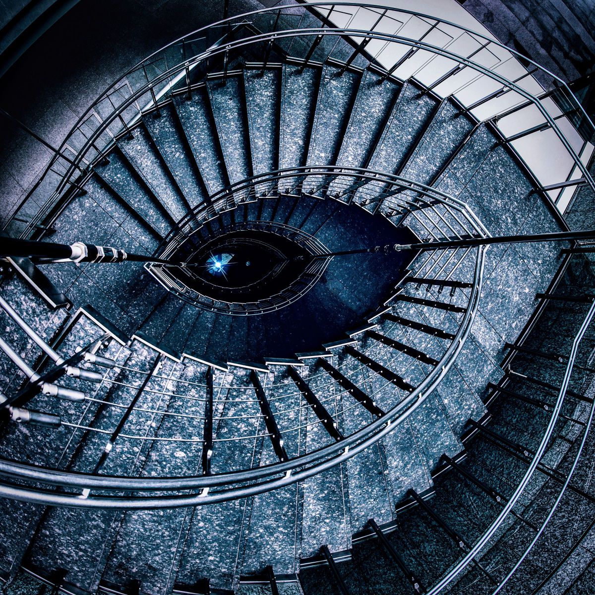 Eyes of the owl | GANREF