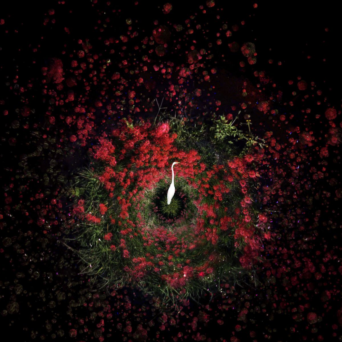 Only you... | GANREF