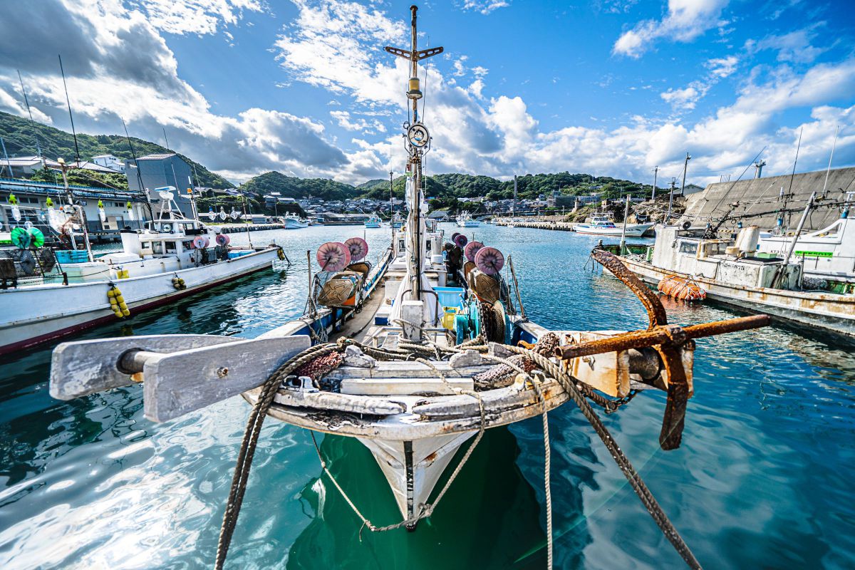 Working Ship | GANREF