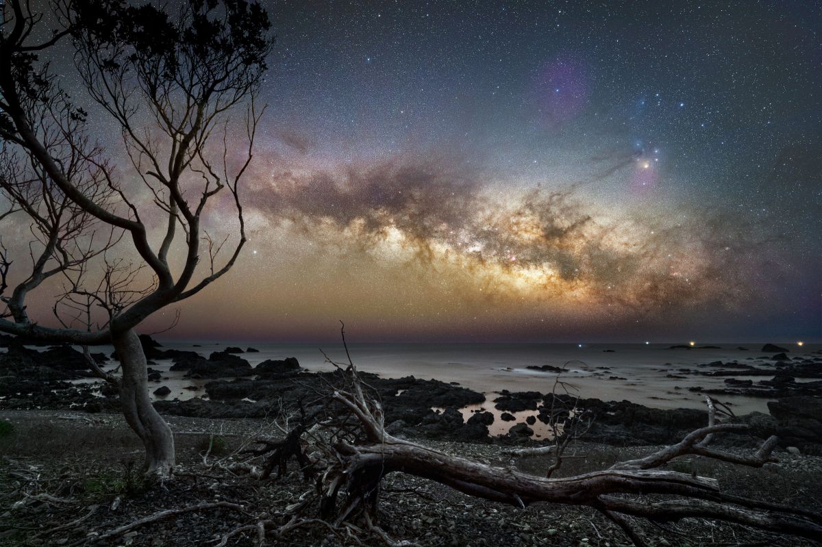 The Unknown Stories | GANREF