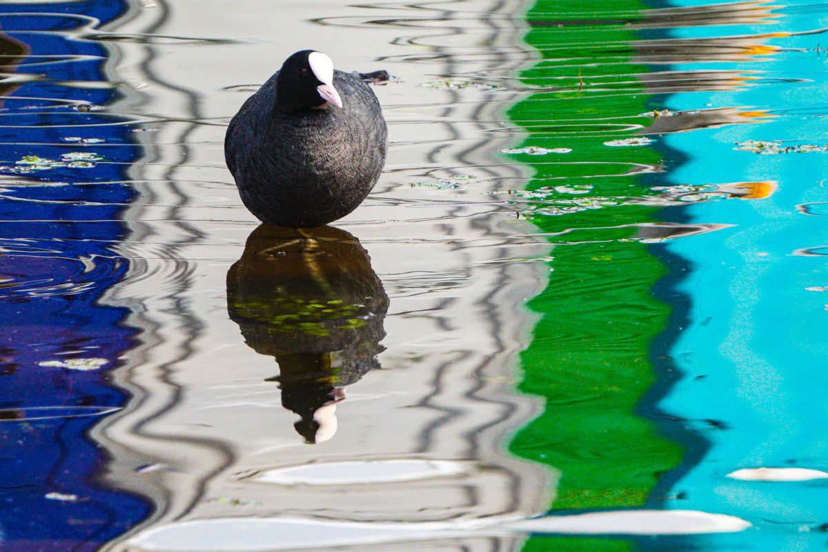 観光船の前で記念撮影 | GANREF