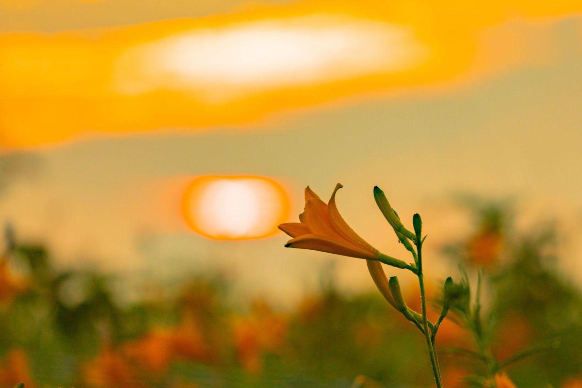 鳥よ飛んで来〜い、と願ったけど 😰 | GANREF