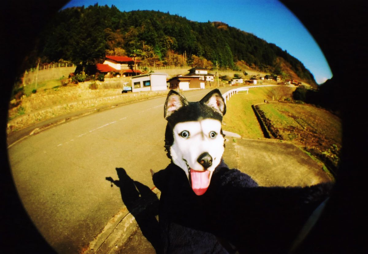 Lomography Fisheye One 買いました。 | GANREF