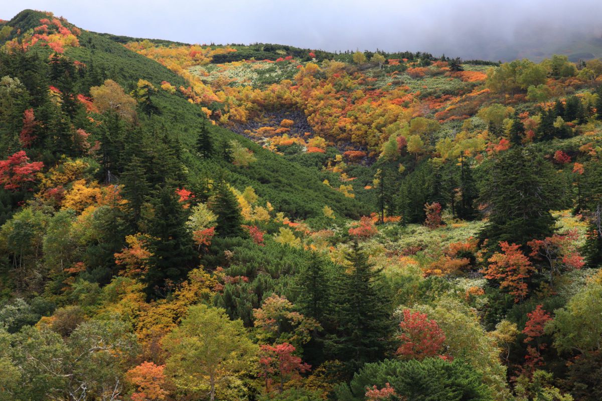 一足先に | GANREF