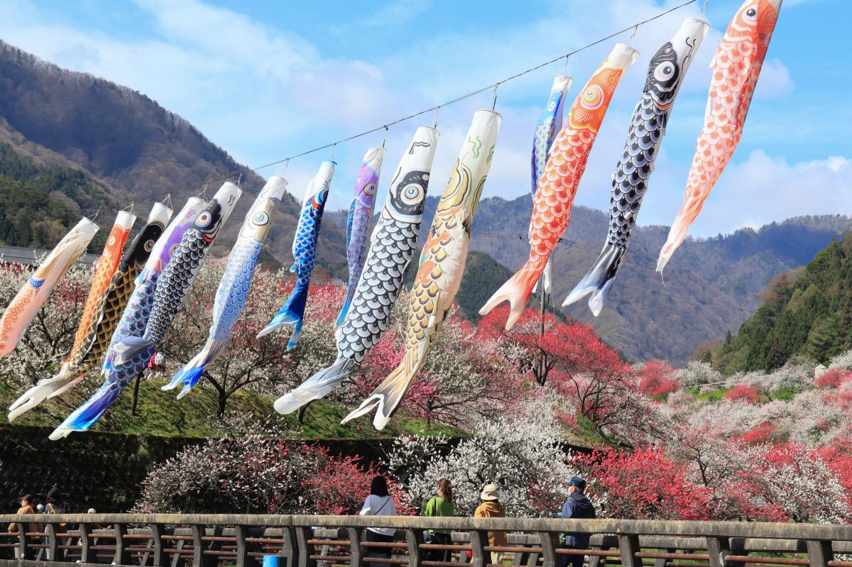 そよそよ | GANREF