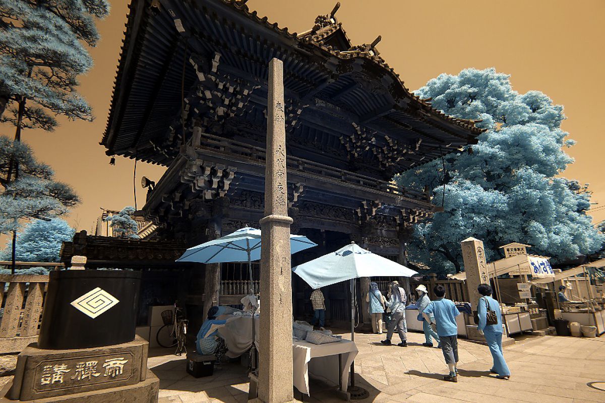 【赤外線動画】 INFRARED TRANSITION VIDEO | GANREF