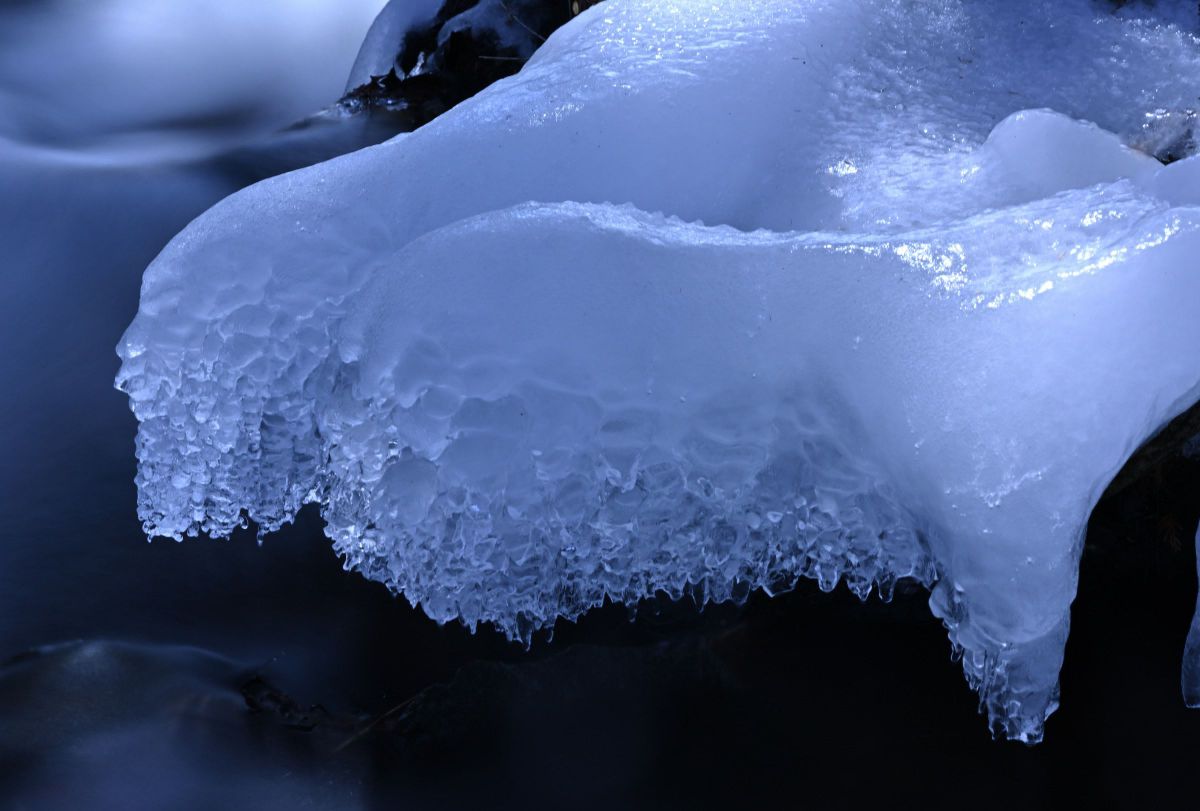 冬の小川2025 | GANREF