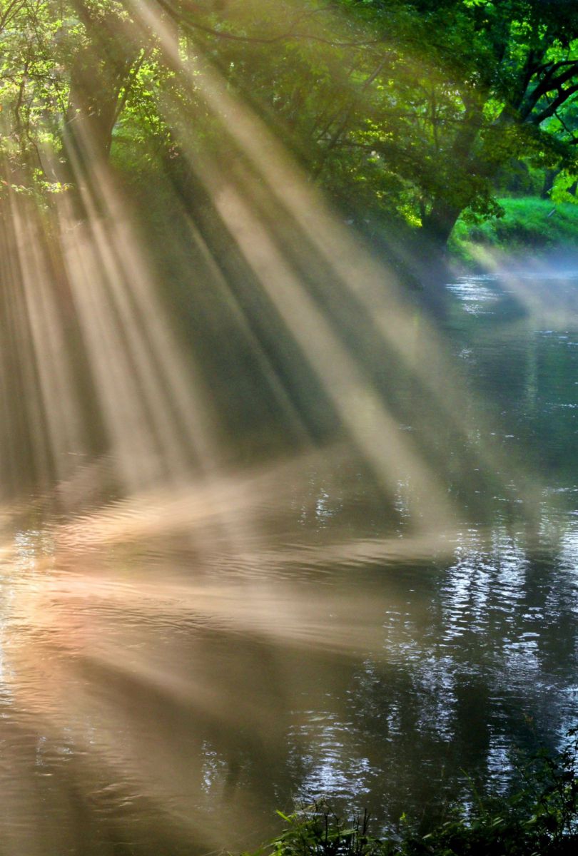 ～あさのひかり～ | GANREF