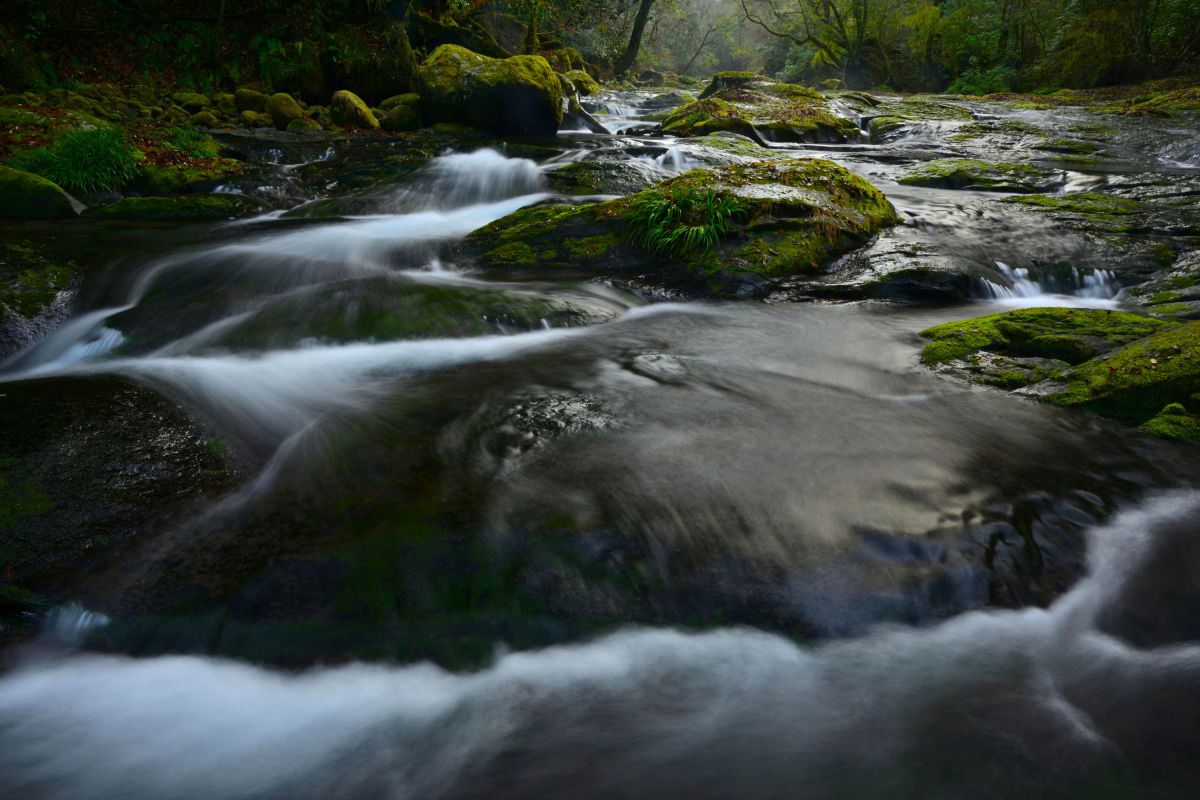 菊池渓谷2023冬 * | GANREF